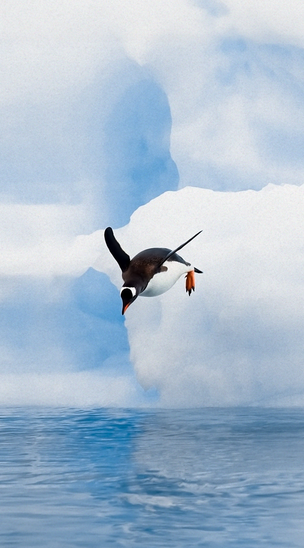 About Us | Company | Digital Garage, Inc.